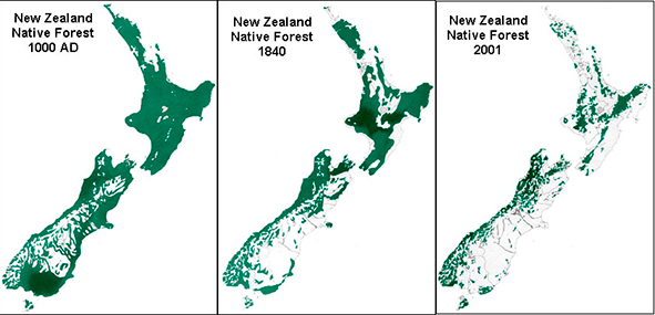 forestcover – envirohistory NZ