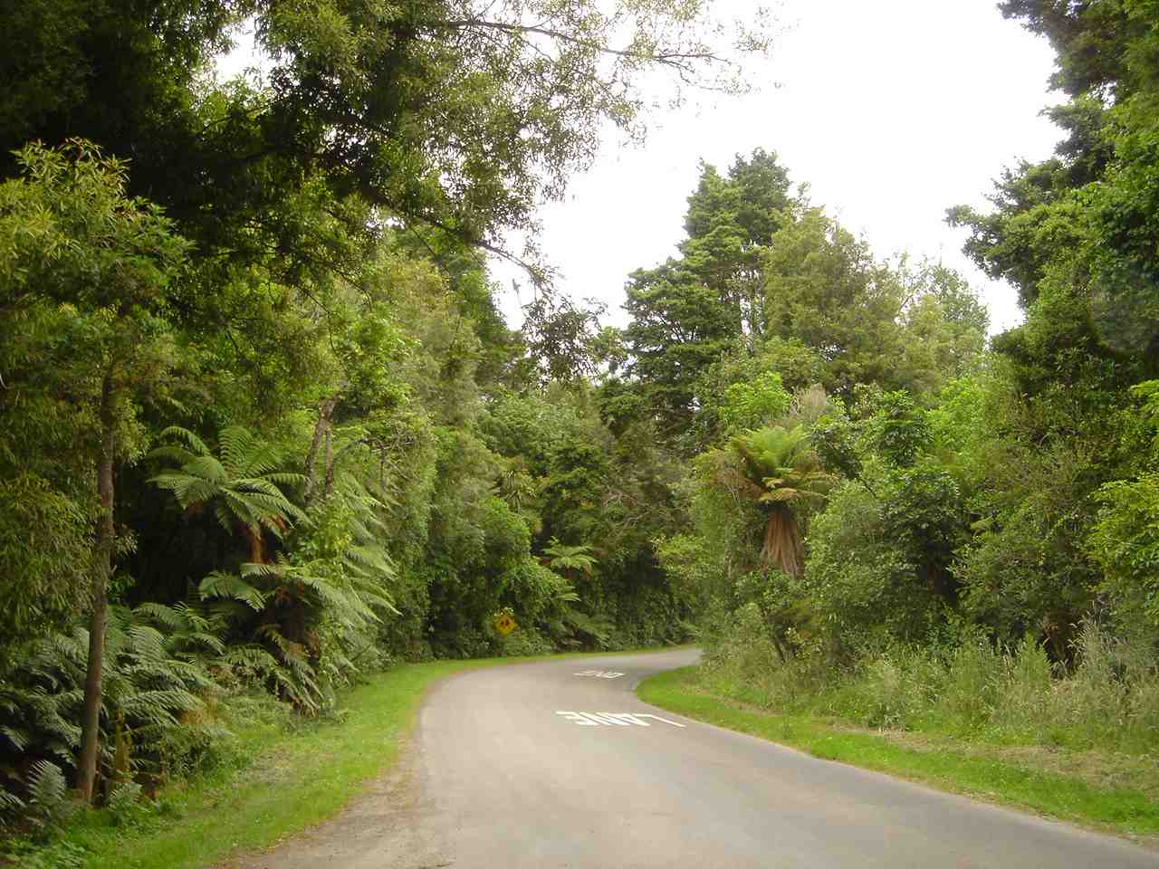Manawatu history talk: Totara Reserve – envirohistory NZ
