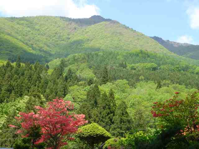 Comparing histories – nature conservation in Japan – envirohistory NZ