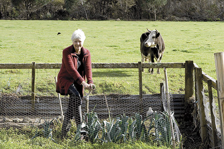 Jeanette Fitzsimons: How our attitudes towards the environment have ...