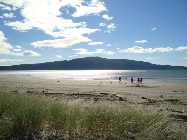 Kapiti Island – an environmental history “microcosm” – Part 1 ...
