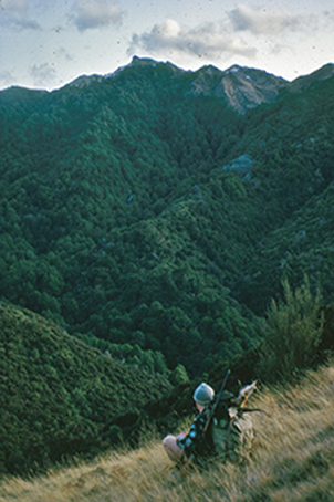 Memories of hunting – Te Urewera and Hawkes Bay – envirohistory NZ