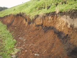 soil profile with charcoal layer – envirohistory NZ