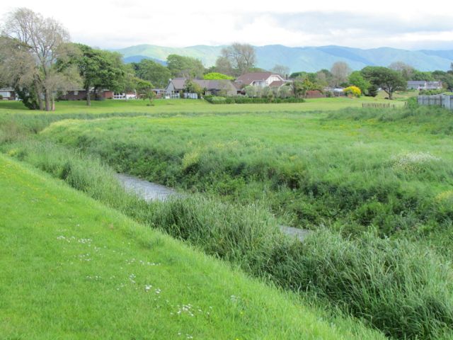 Food basket to floodway: the story of Awapuni Lagoon and Mangaone ...