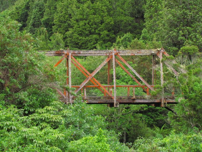 Ngatiawa Bridge close up – envirohistory NZ