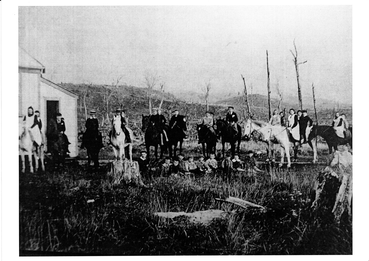 Pohangina Valley – envirohistory NZ