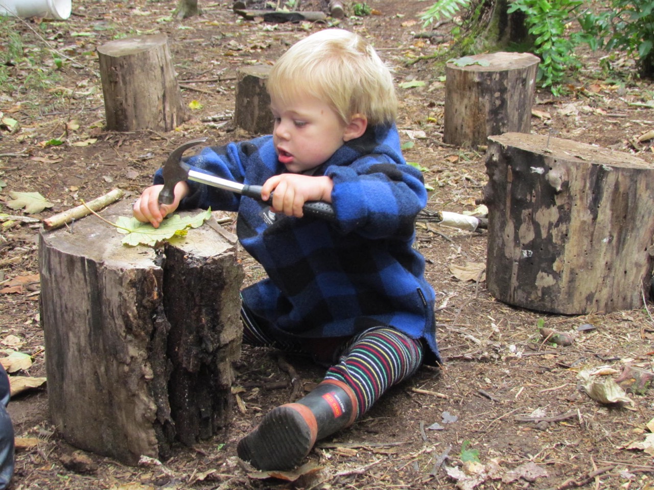 Bush kindy: getting kids into nature – envirohistory NZ