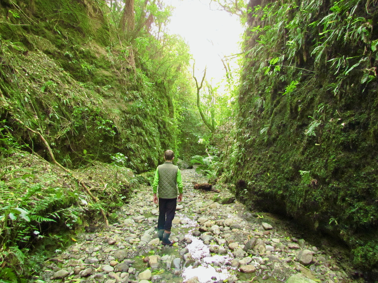 Solving the mysteries of our landscape through time travel ...